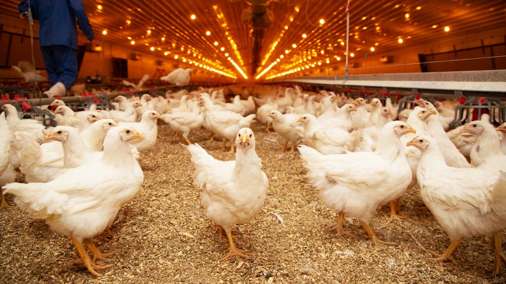 قصتنا – Temry Egypt